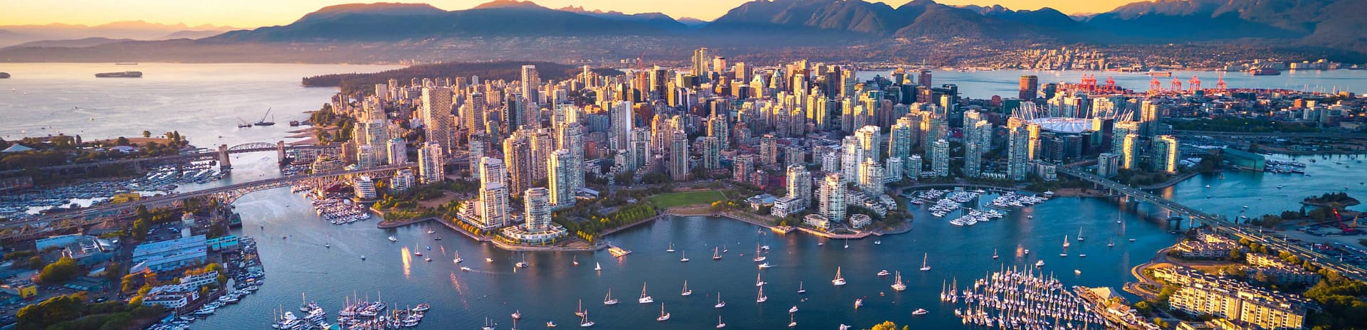 About Us, Meet the Team, Why Ascent Insurance